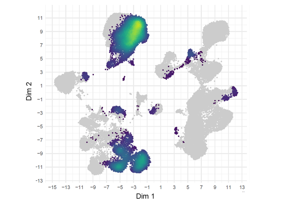 Prof. Markus Feuerer - Leibniz Institute for Immunotherapy