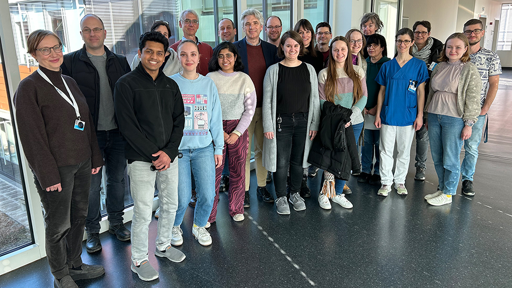 New LIT Cooperation Groups: The LIT is expanding - Leibniz Institute ...